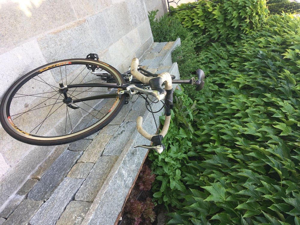 Rennvelo TREK 2200 Alpha SL (Gebraucht) in Lenzerheide/Lai für CHF 240 ...