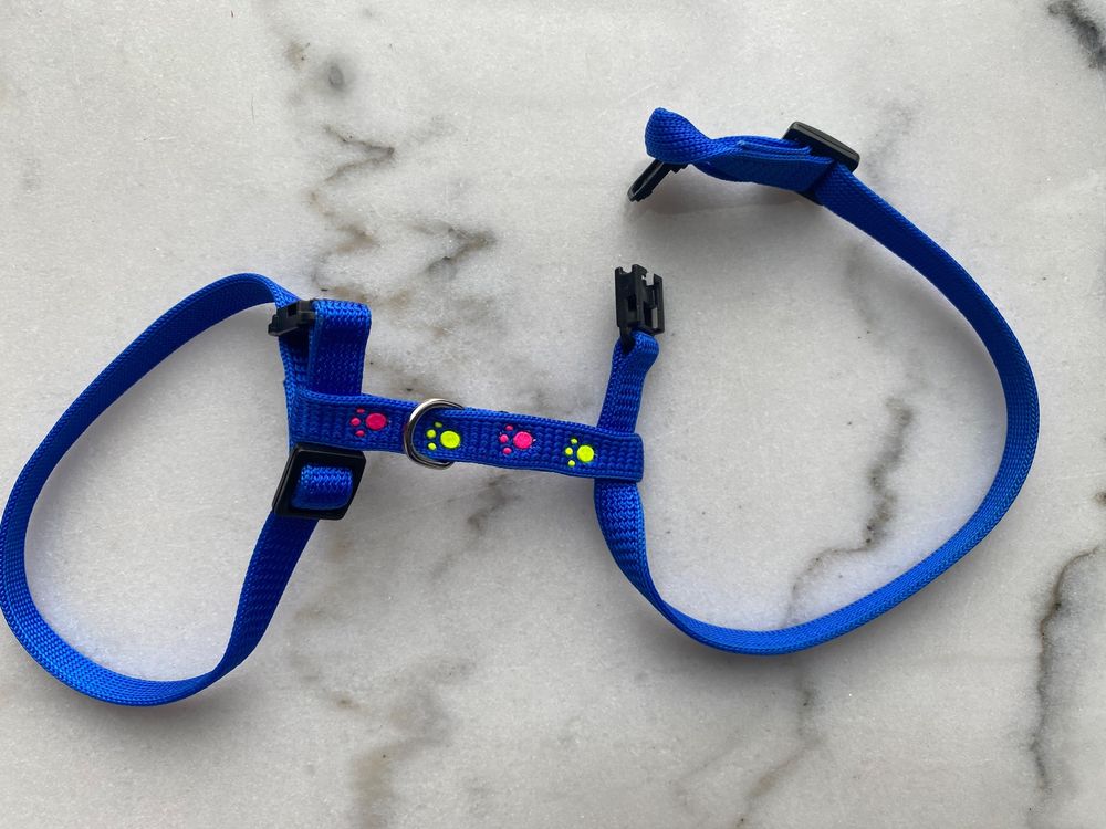 Hunde Harness Gstältli XS für Chihuahua oder Zwergspitz | Kaufen auf Ricardo