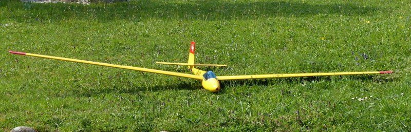 RC Segelflugzeug Standard-Libelle 3.2m (Neu (gemäss Beschreibung)) in ...