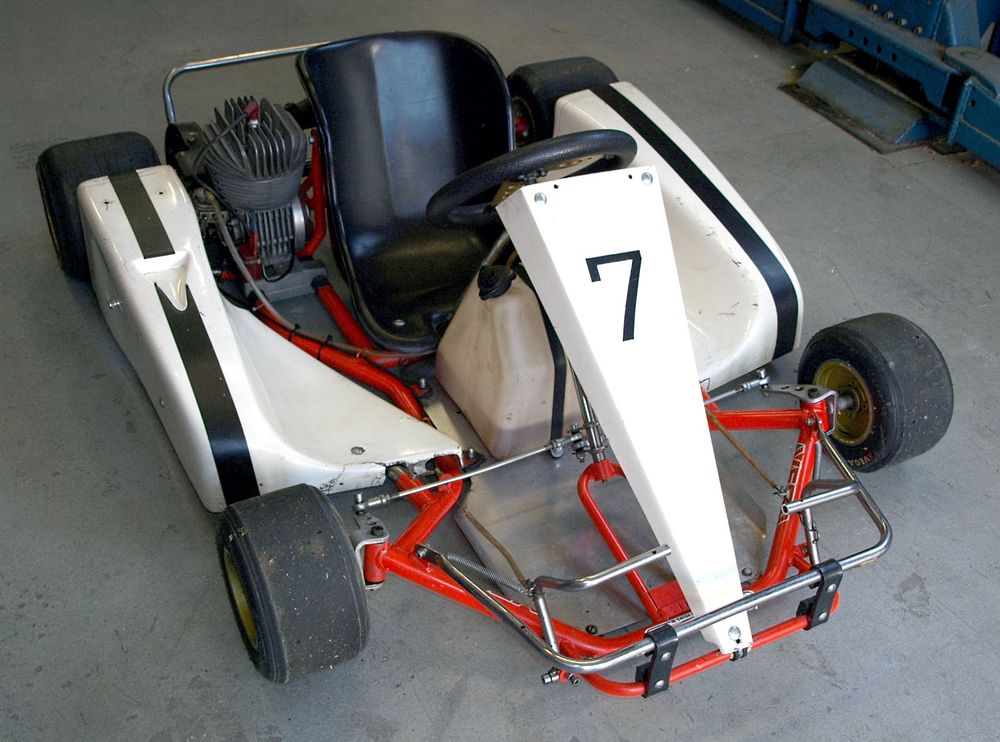 Rennkart, Kart, Go-Kart, Karting | Kaufen auf Ricardo