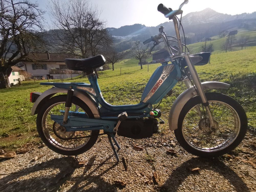 Califfo Rizzato 80 | Kaufen auf Ricardo