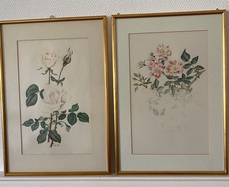 Zwei Aquarelle in vergoldeten Rahmen | Kaufen auf Ricardo