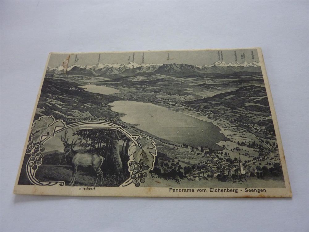 Ansichtskarte: Eichberg - Seengen 1909 (Gebraucht) in Birrwil für CHF 4 ...