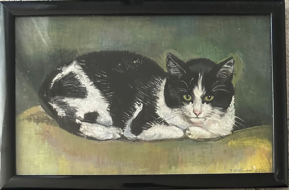 Dora Hiltbrunner (XIX-XX) Mischtechnik von Katze (Gebraucht) in Root ...