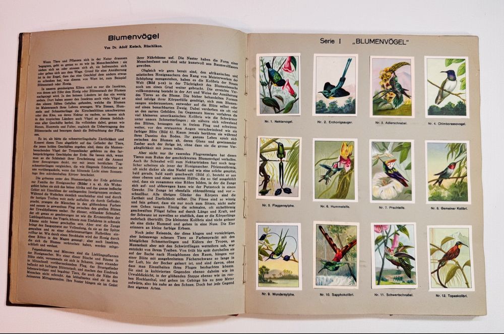 ( Nestle ) Wunder aus aller Welt” – Band 1 (1929) • Komplett (Gebraucht ...