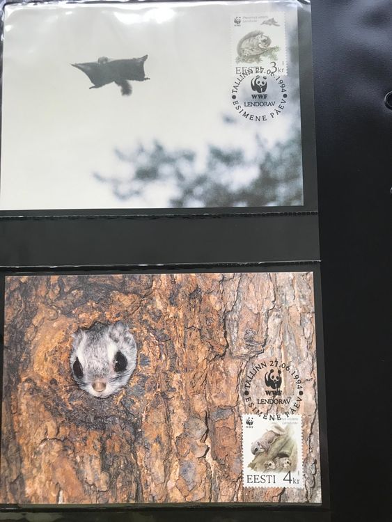 Estland 1994 Satz WWF Gleithörnchen Maximumkarten (Neu (gemäss Beschreibung)) in Liestal für CHF ...