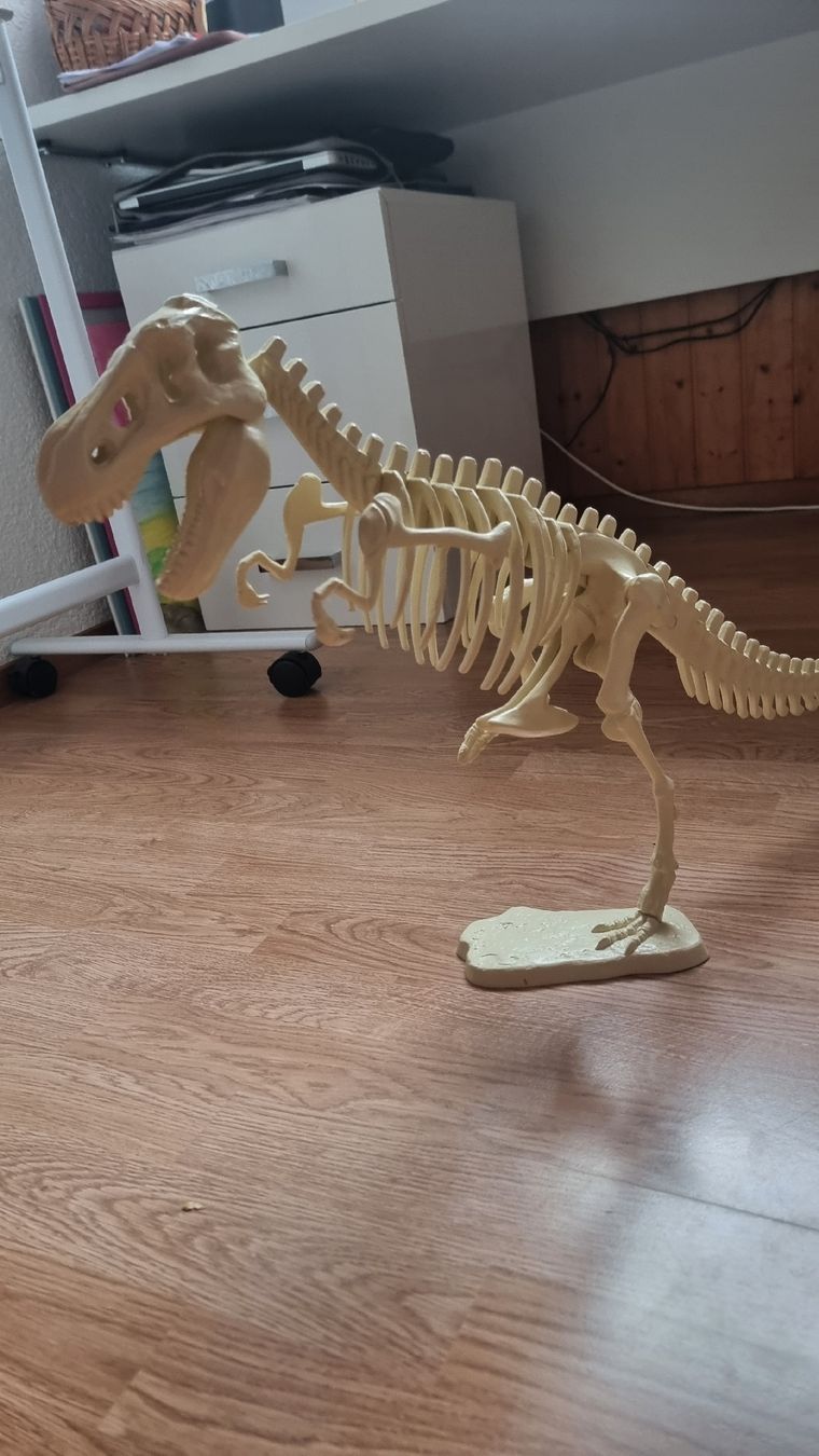 Cooles T-Rex Skelett Modell, perfekt für Sammler! (Gebraucht) in Wileroltigen für CHF 28 – mit ...