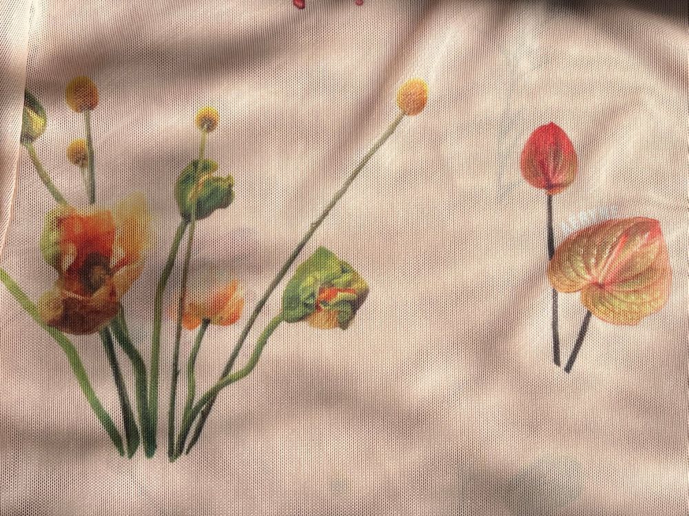 Aéryne Camille Blumen Mesh Frühling Top 🌷 (Gebraucht) in Wallisellen ...