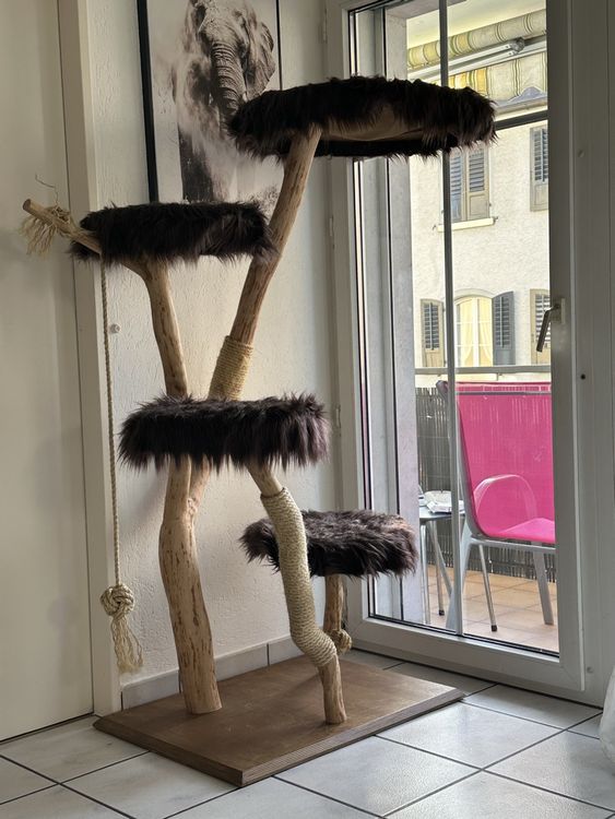 Katzenbaum 160cm (Neu (gemäss Beschreibung)) in St.Gallen für CHF 470 ...