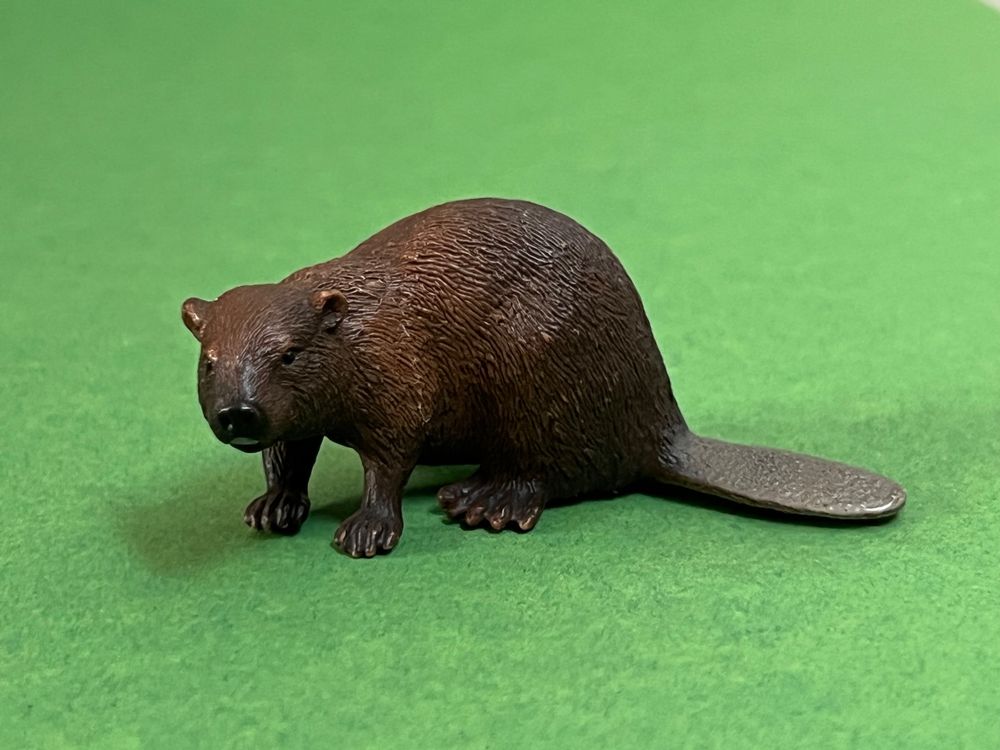 Schleich Biber 14693 Tier (Gebraucht) in Ennetbaden für CHF 12 – mit Lieferung auf Ricardo kaufen