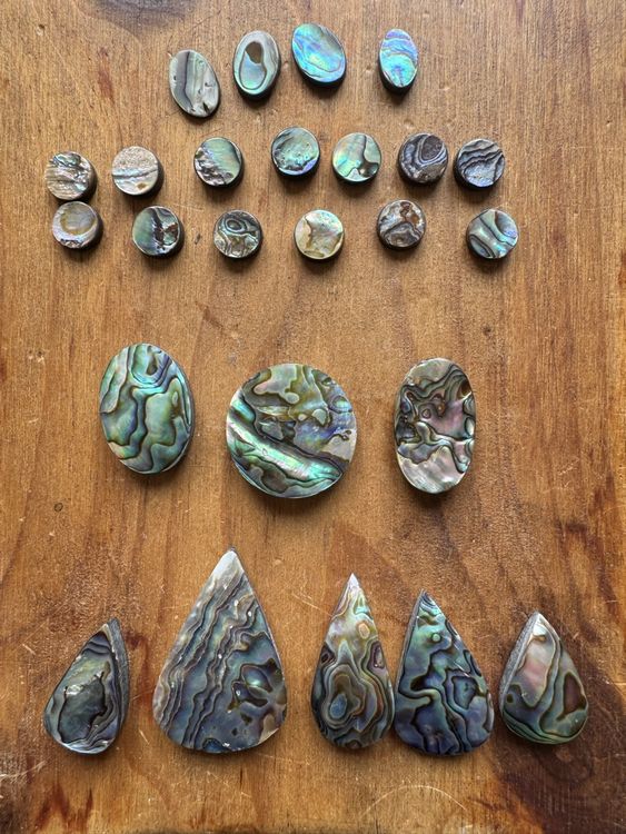 Lot de pierres en nacre / abalone – qualité supérieure (Neuf avec emballage d'origine) à ...