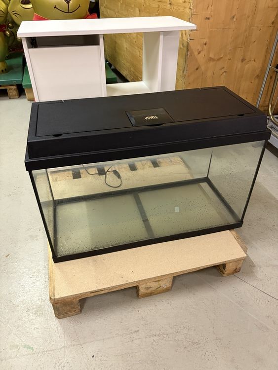 Aquarium 110L ideal für Anfänger oder als zusatz Becken (Gebraucht) in ...
