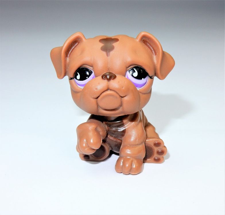 LPS - Littlest Pet Shop - Bulldogge - Nr. 881 - 2007- Hasbro | Kaufen ...