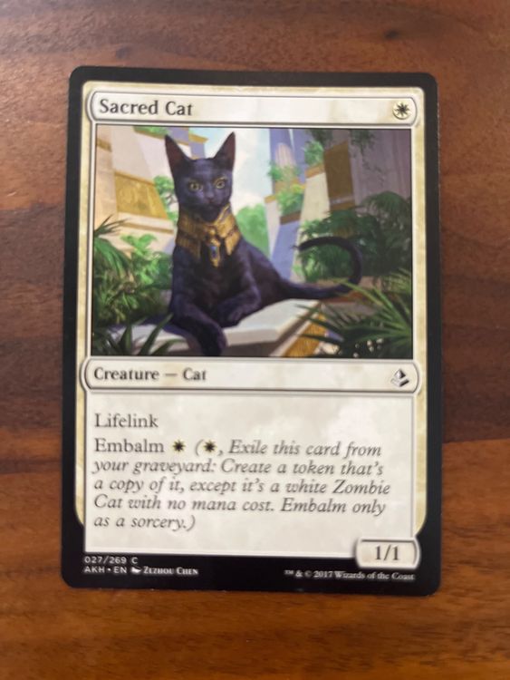 Sacred Cat | Kaufen auf Ricardo