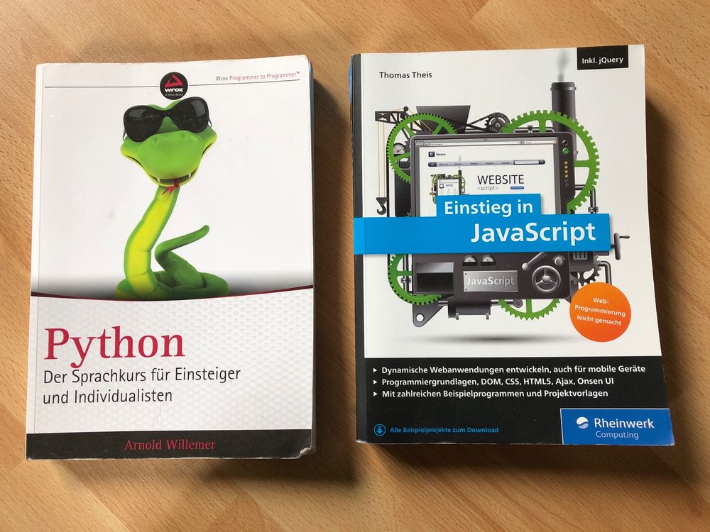 Python und Javascript für Einsteiger | Kaufen auf Ricardo