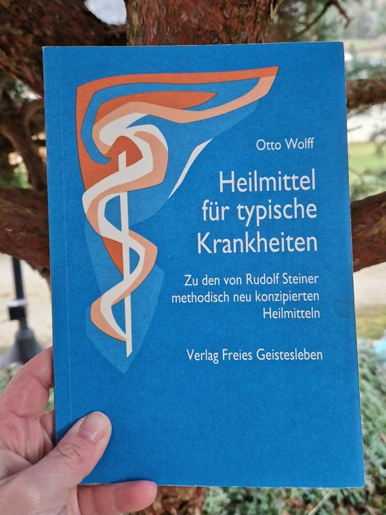 Buch - Heilmittel für typische Krankheiten - Otto Wolff (Gebraucht) in ...