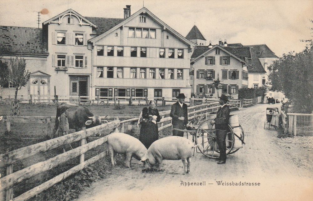 Appenzell Weissbadstrasse belebt mit Sauen (Gebraucht) in Rorschacherberg für CHF 40 – mit ...