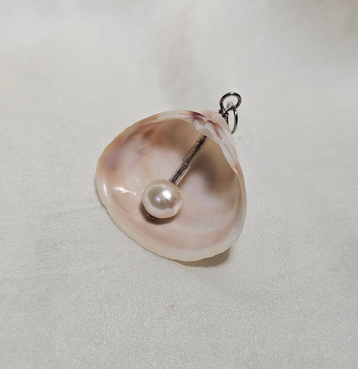 Muschel mit Perle Anhänger (Neu (gemäss Beschreibung)) in Ostermundigen ...