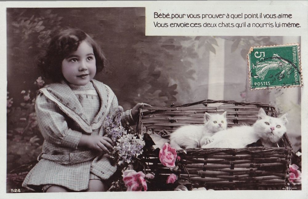 Mädchen mit weissen Katzen im Korb, Liebe, Spruch (Gebraucht) in Zürich ...