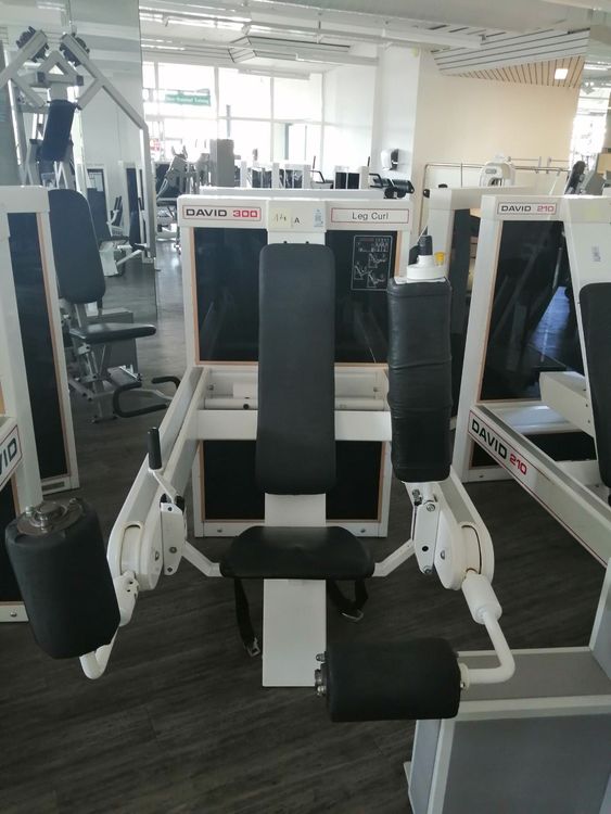 DAVID 300 Leg Curl Beinbeuger (Gebraucht) in Hägendorf für CHF 206 ...