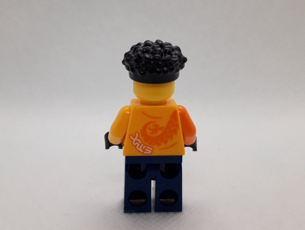 Lego Ninjago Minifigur njo834 - Urban Arin (Neu (gemäss Beschreibung ...