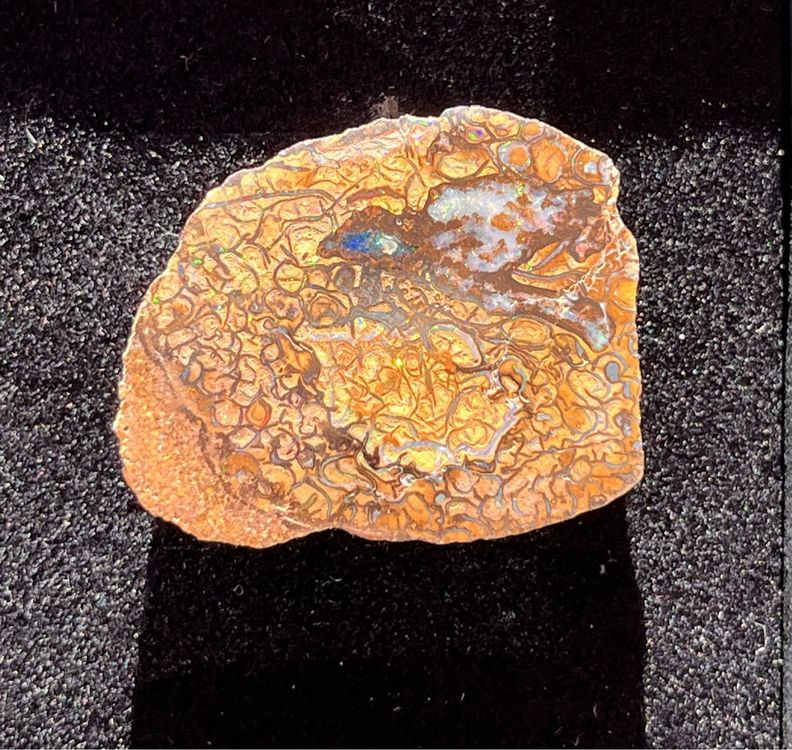 Boulder Opal Stein, Vogel überm See, sehr selten, Anhänger (Neu (gemäss ...