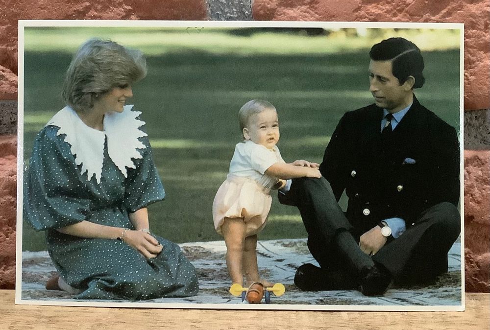 1983 Alte Foto AK - LADY DIANA & PRINCE CHARLES Royal Family (Gebraucht ...