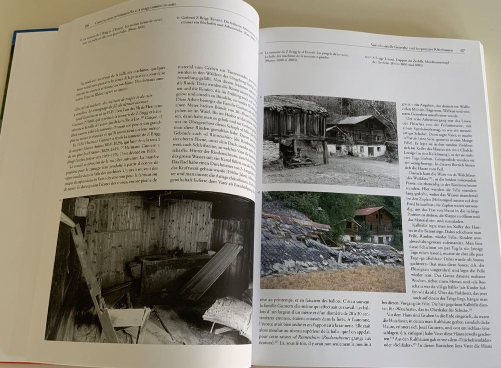 Die Bauernhäuser des Kantons Wallis - Werner Bellwald (Gebraucht) in ...