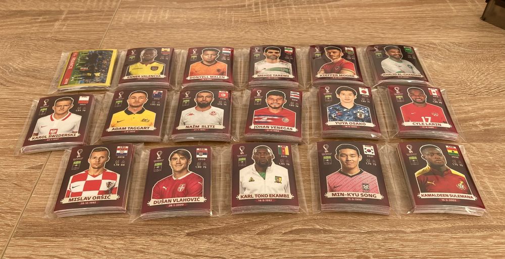 Panini Qatar complet | Kaufen auf Ricardo