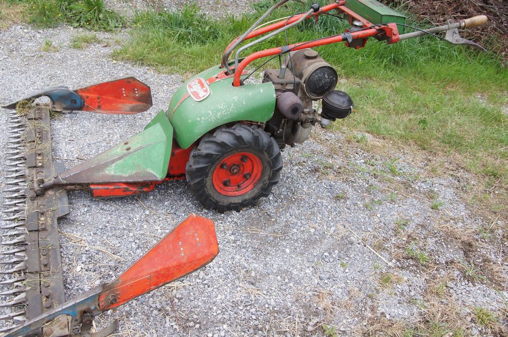 Rapid Rex Mag, 160cm Messerbalken (Gebraucht) in Wetzikon ZH für CHF 680 – nur Abholung auf ...