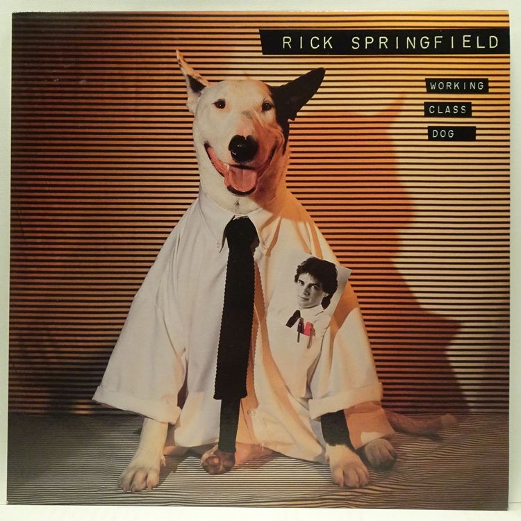Springfield Rick – Working Class Dog (Gebraucht) in Muhen für CHF 2.2 ...