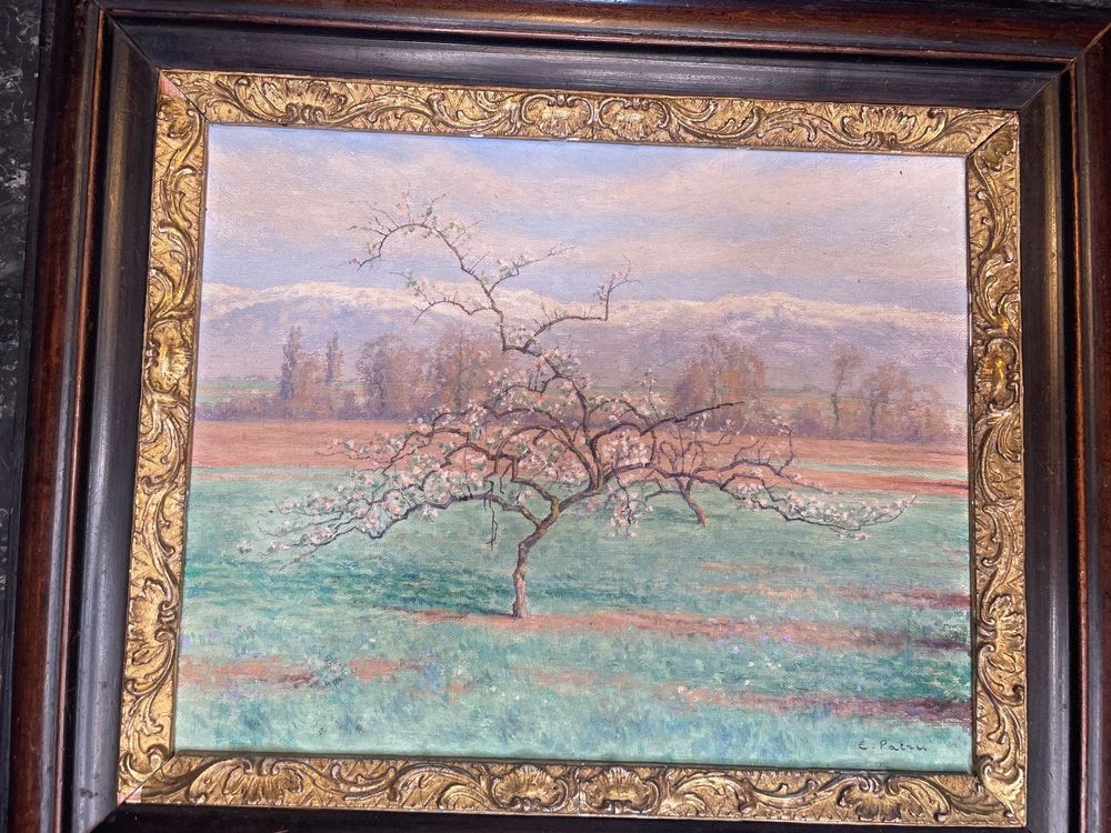 ÉMILE PATRU (1877-1940) HUILE SUR CARTON “ARBRE EN FLEUR” (Gebraucht) in Genève für CHF 400 ...