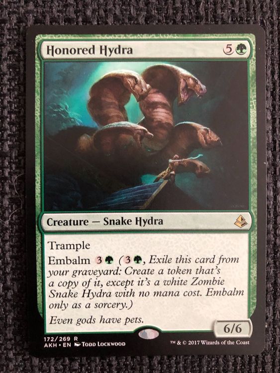 Mtg Honored Hydra | Kaufen auf Ricardo