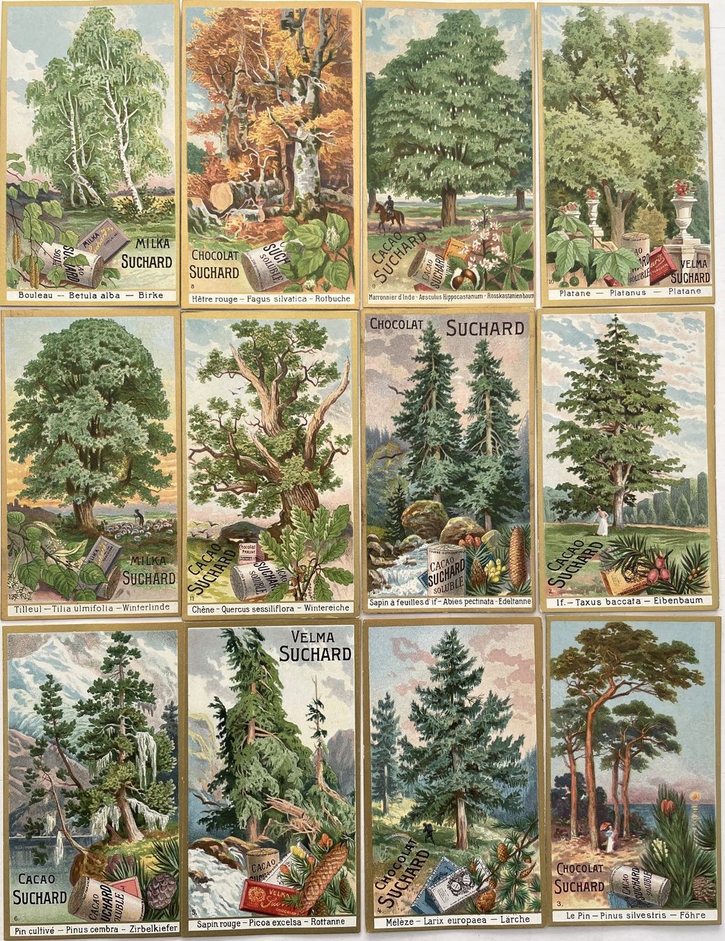 Suchard - Serie von 12 Chromobilder / Anciennes chromos 1905 (Gebraucht ...