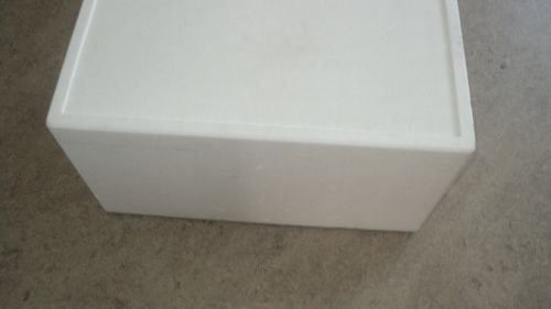 Styropor-Box (Gebraucht) in für CHF 2 – nur Abholung auf Ricardo kaufen