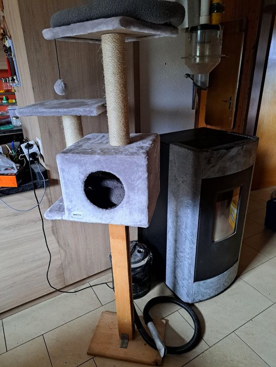 arbre à chat neuf (Neu und originalverpackt) in Glovelier für CHF 20 ...