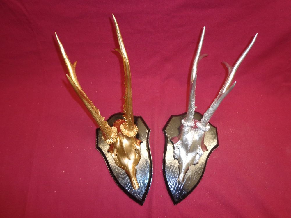 Reh, Geweihe, Trophäe, Horn, Dekoration, Jagd, Gold, Silber (Neu ...