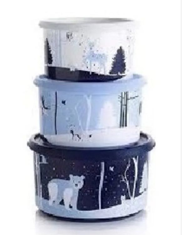 Tupperware Winter set 3 boîtes (Neu und originalverpackt) in Le Vaud ...