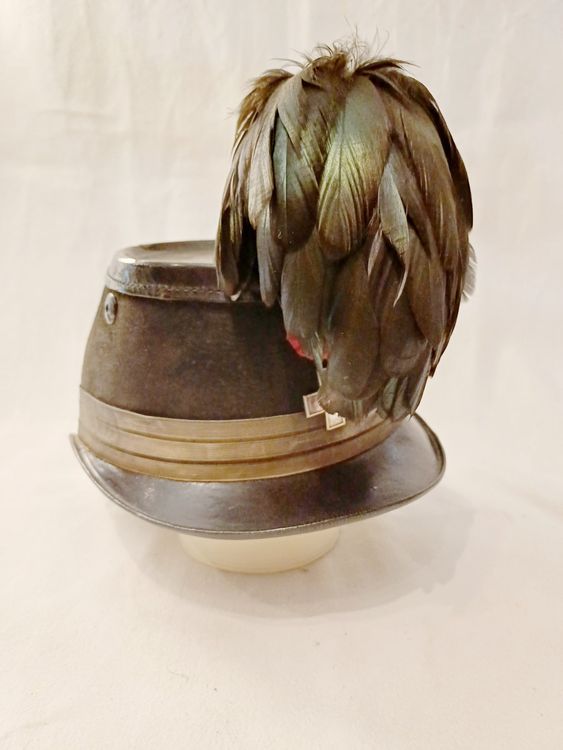 Shako colonel ord. 75 (Gebraucht) in Thônex für CHF 750 – mit Lieferung ...