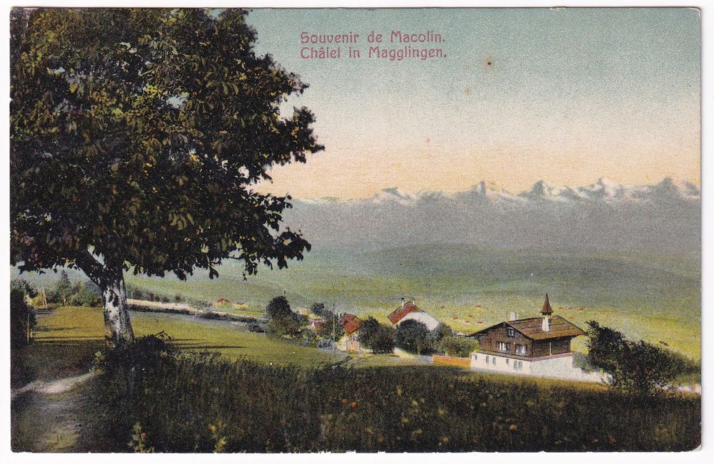 Souvenir de Macolin. Châlet in Magglingen. 1911 (D'occasion) à Cormoret ...