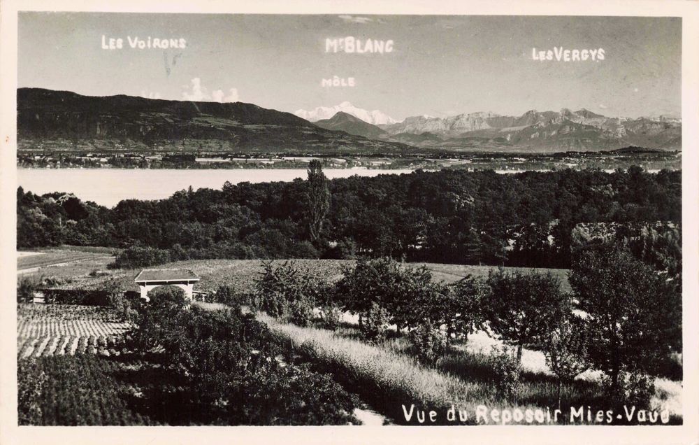 Vue du reposoir mies Vaud (D'occasion) à Biasca pour CHF 8 – avec ...