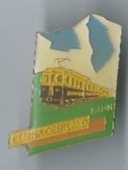 Berner Oberland PIN (Gebraucht) in Zürich für CHF 1.2 – mit Lieferung ...