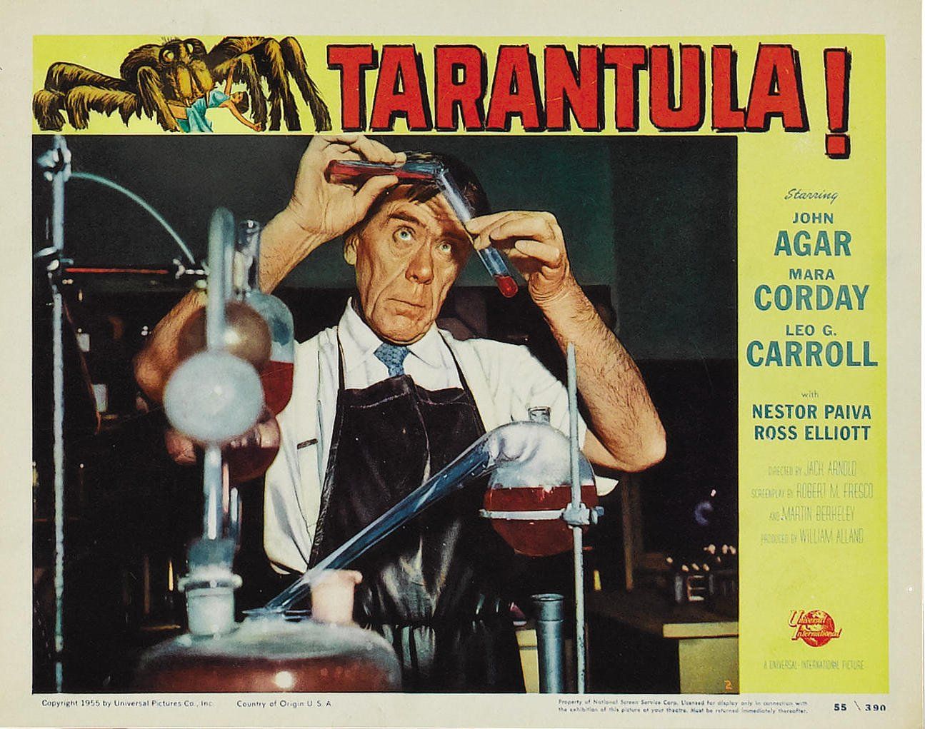 Tarantula (1955) Jack Arnold/Universal Klassik-Horror 🕷/DVD (Neu ...
