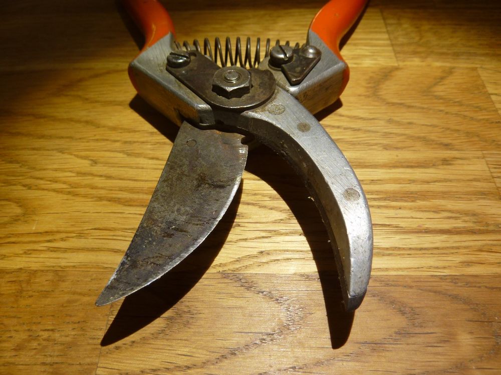 Gartenschere Pioneer Swiss Made (Gebraucht) in Hochfelden für CHF 15 ...