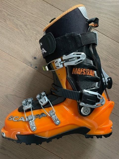 Tourenskischuhe SCARPA MAESTRALE, TLT, MANGO/black, SKI/WALK (Gebraucht ...