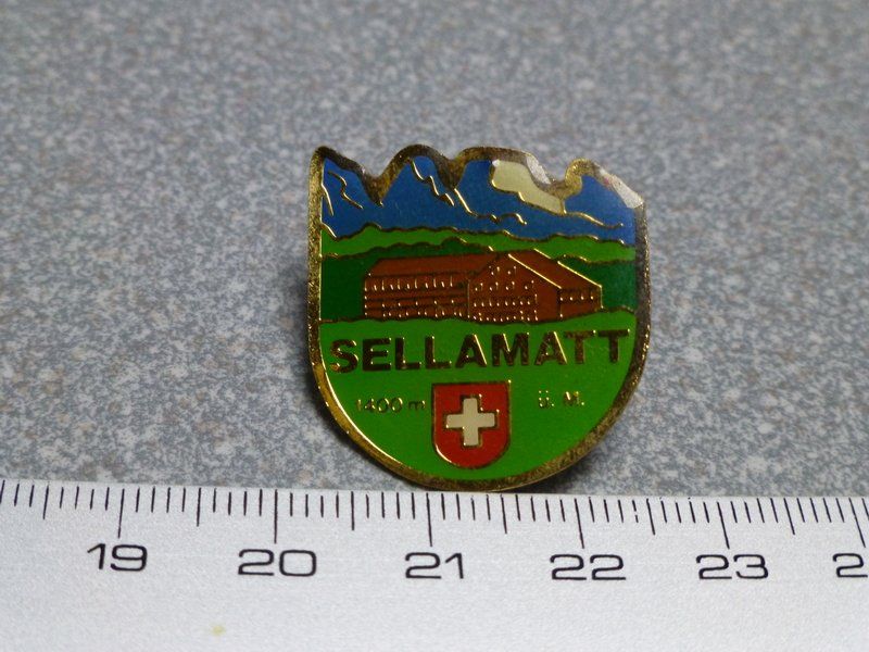 PIN PINS SCHWEIZ | Kaufen auf Ricardo