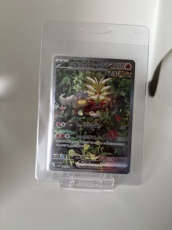 Pokémon Gouging Fire ex SAR (Entei) Wild Force JPN (Neu (gemäss ...