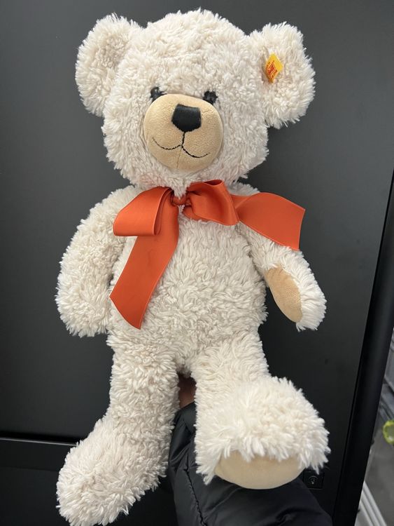 Steiff Teddybär Lilly 28cm (fast wie neu) (Neu (gemäss Beschreibung ...