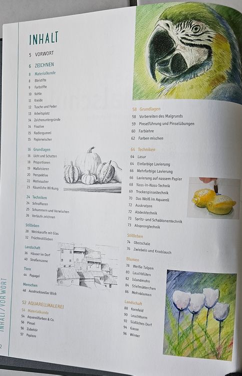 Die Grosse TOPP-Malschule, wichtigste Techniken,beste Motive (Neu ...