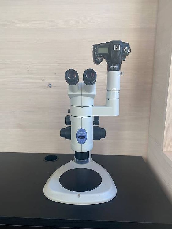 Nikon SMZ 1500 Stereo Mikroskop mit Kameraadapter (Gebraucht) in ...